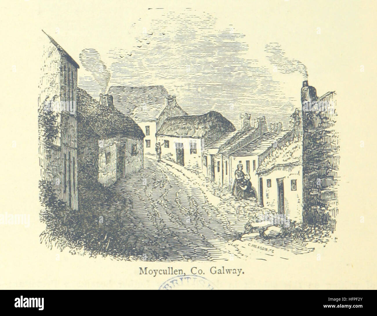 This work offers a historical overview of Ireland, including political ...