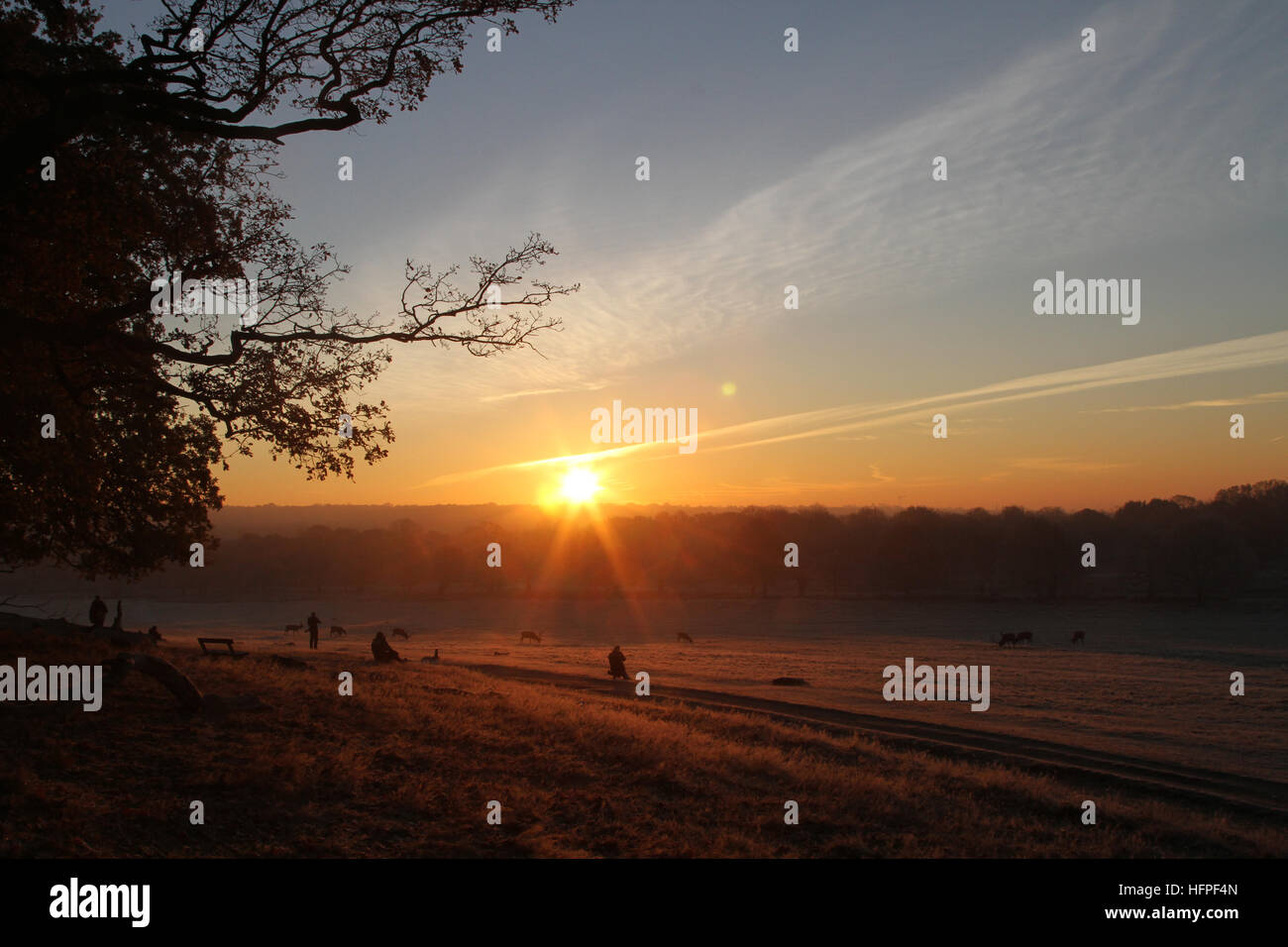 Photographers gather in their masses on the field in Richmond Park to ...