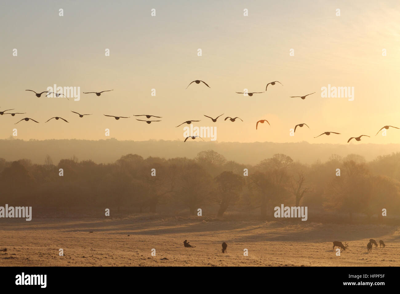 Photographers gather in their masses on the field in Richmond Park to ...
