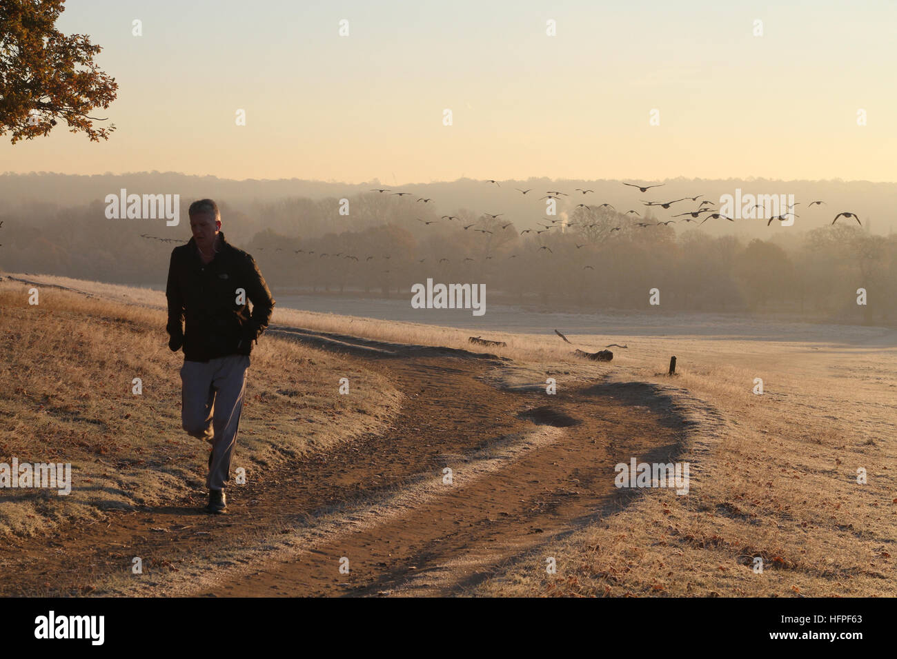 Photographers gather in their masses on the field in Richmond Park to ...