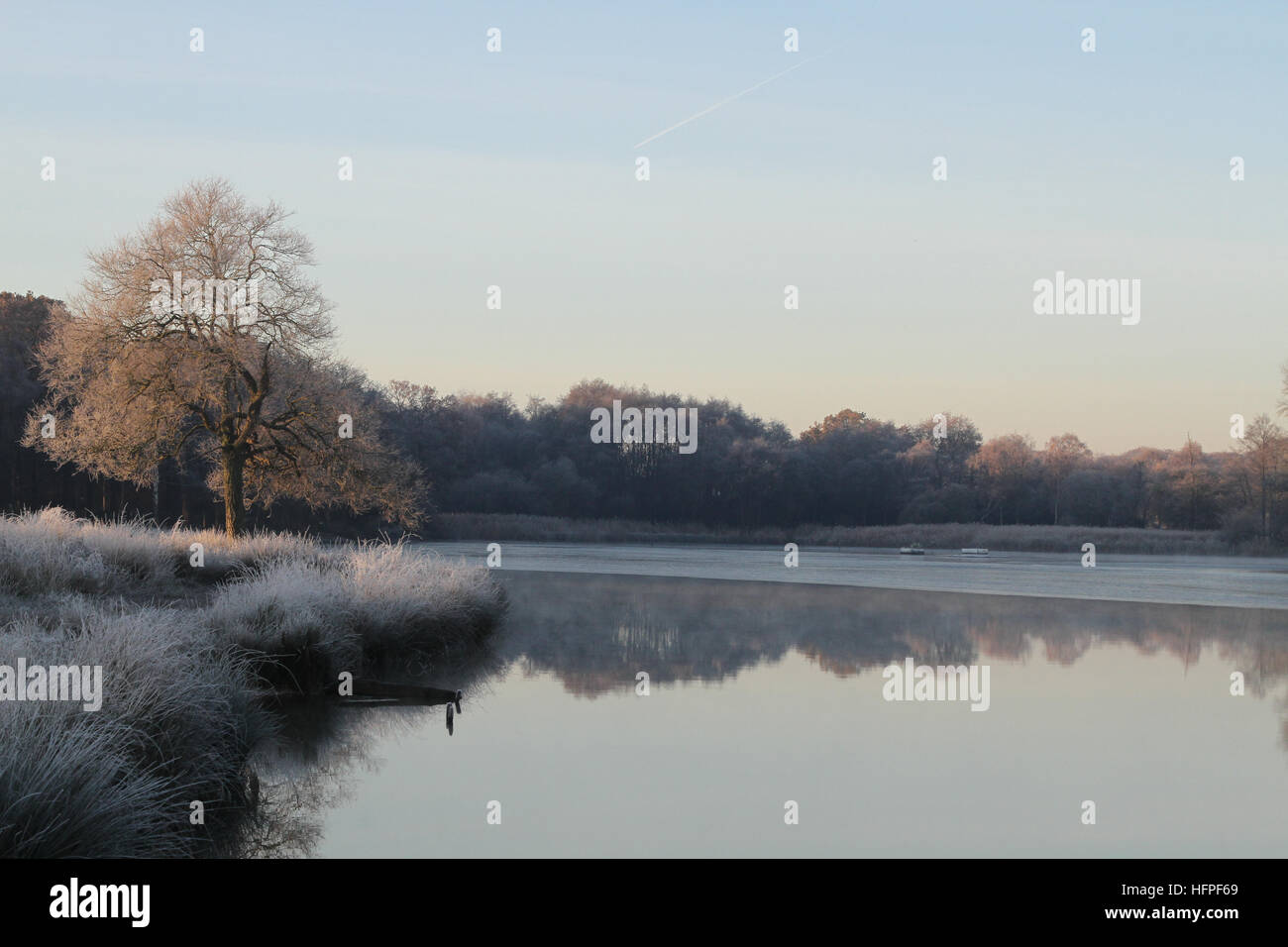 Photographers gather in their masses on the field in Richmond Park to ...