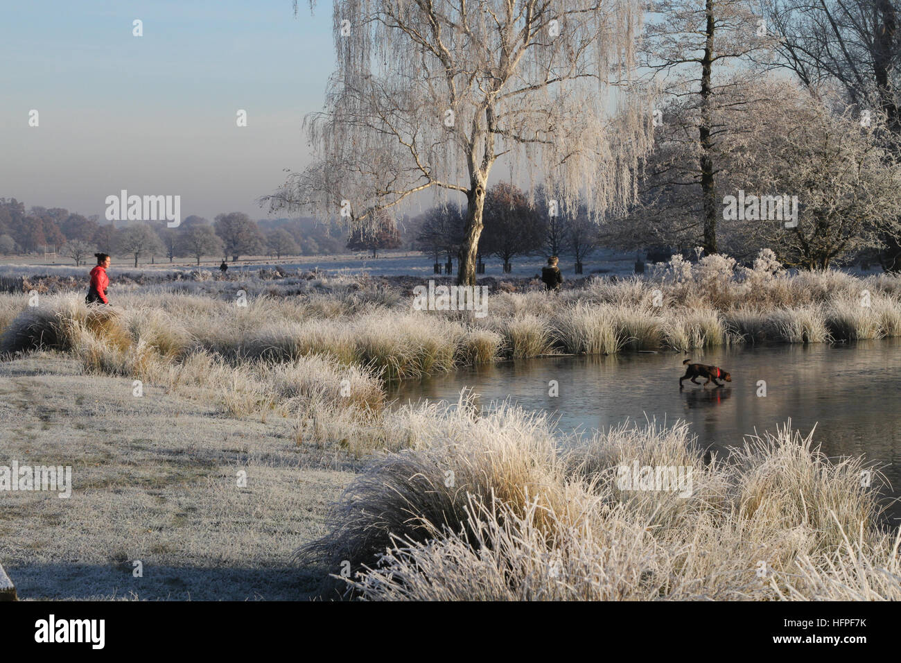Photographers gather in their masses on the field in Richmond Park to ...