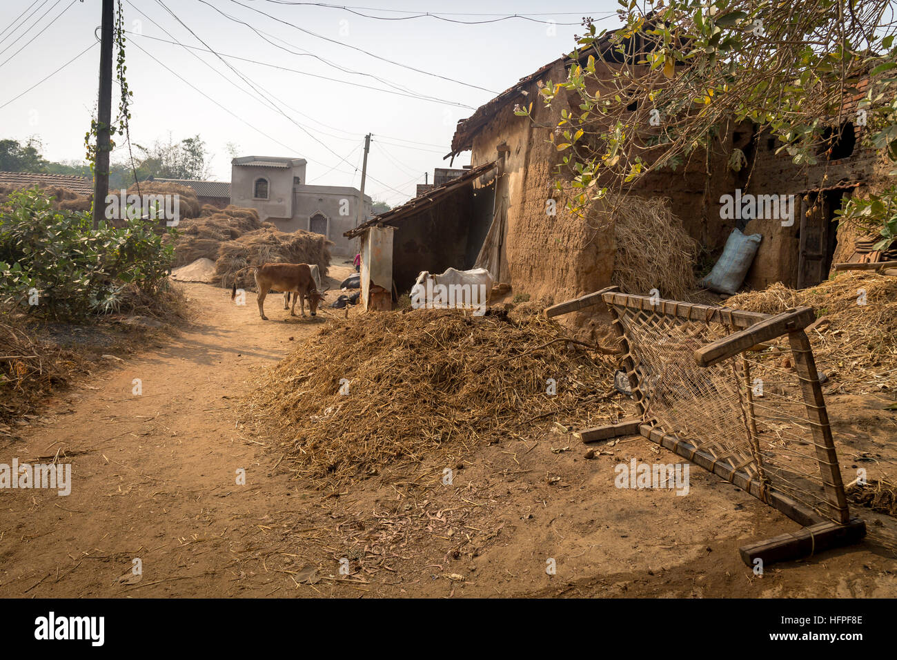 Rural Indian village with cattle, mud houses with a village cot in the ...