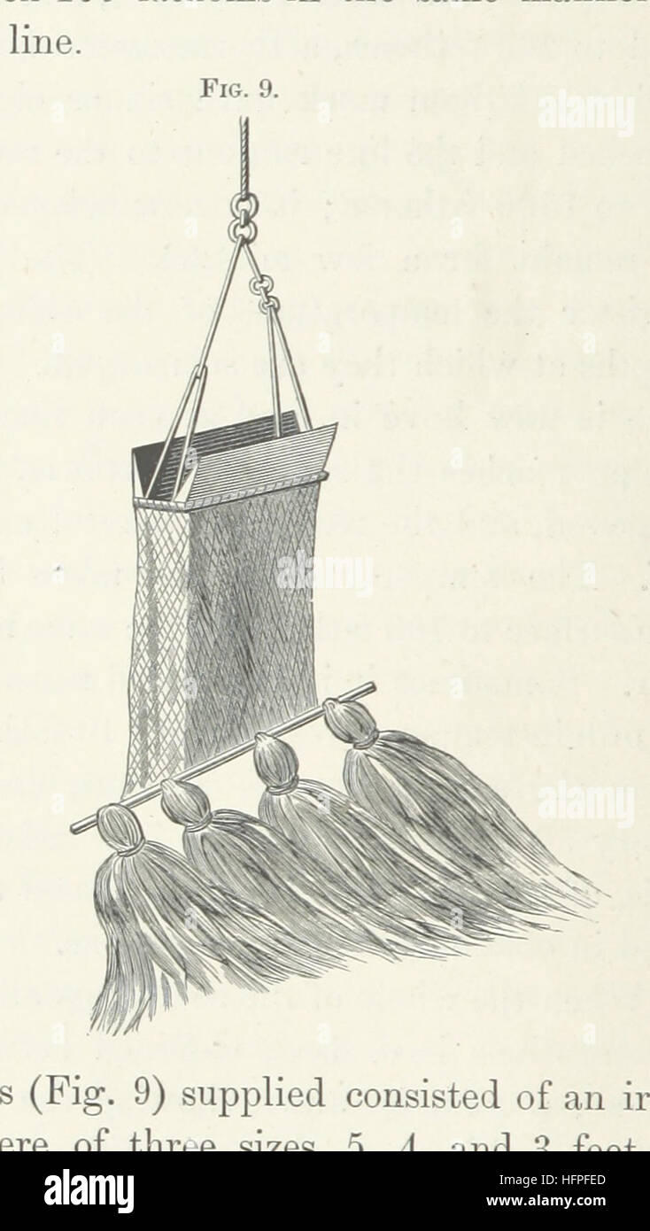 This image from 'The Cruise of her Majesty's Ship 'Challenger ...