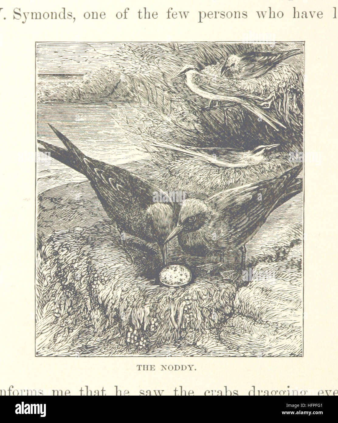 What mr darwin saw hi-res stock photography and images - Alamy