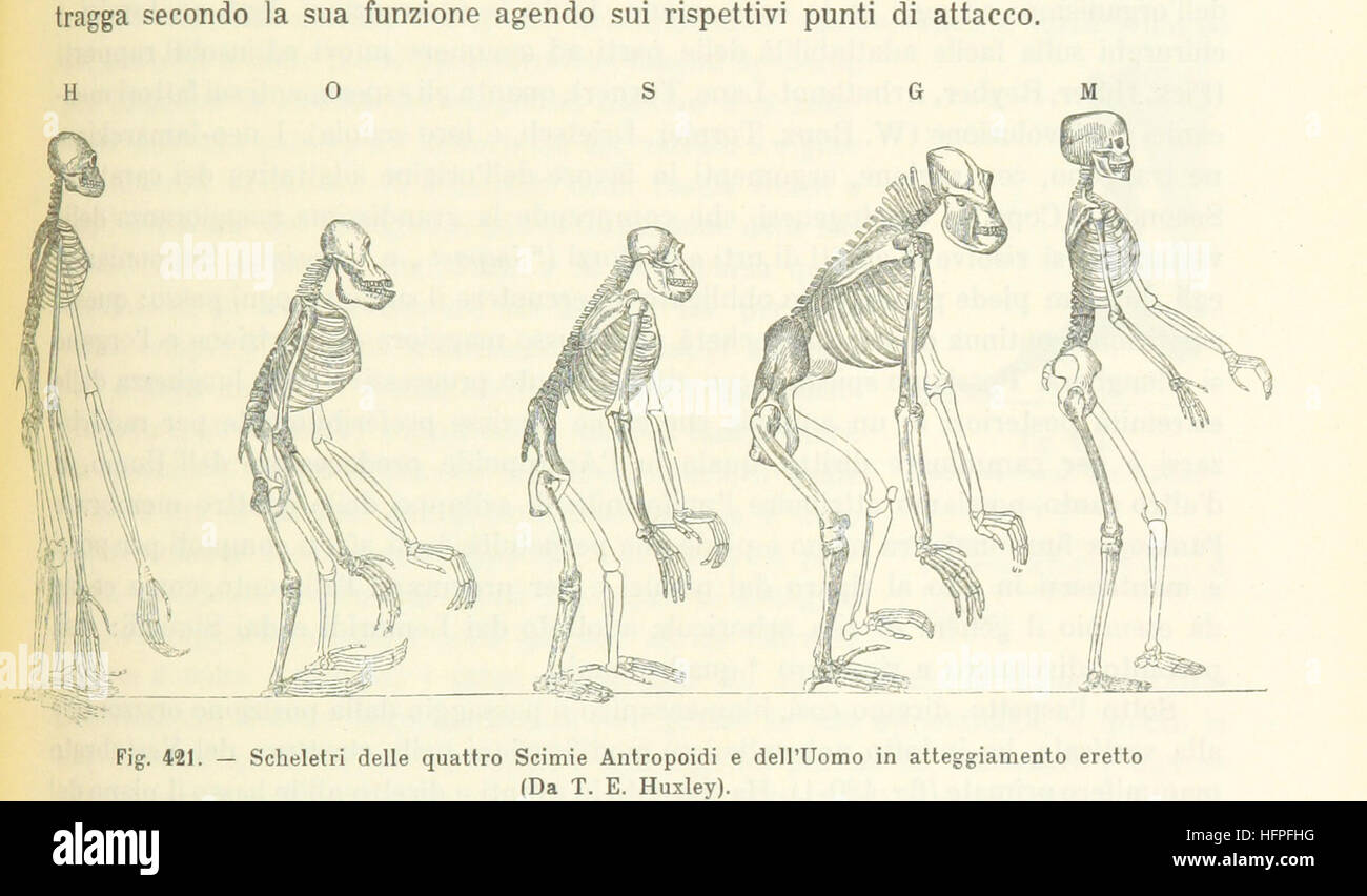 An image from page 841 of 'Antropologia generale', an Italian book discussing general ...