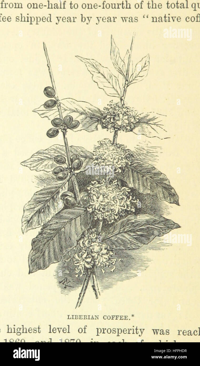 Ceylon tea 19th century hi-res stock photography and images - Alamy