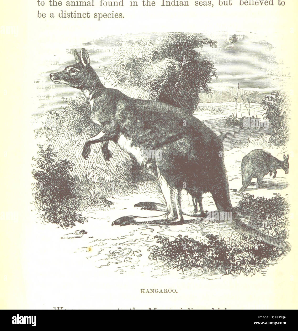 Stanford's Compendium of Geography and Travel offers a comprehensive ...