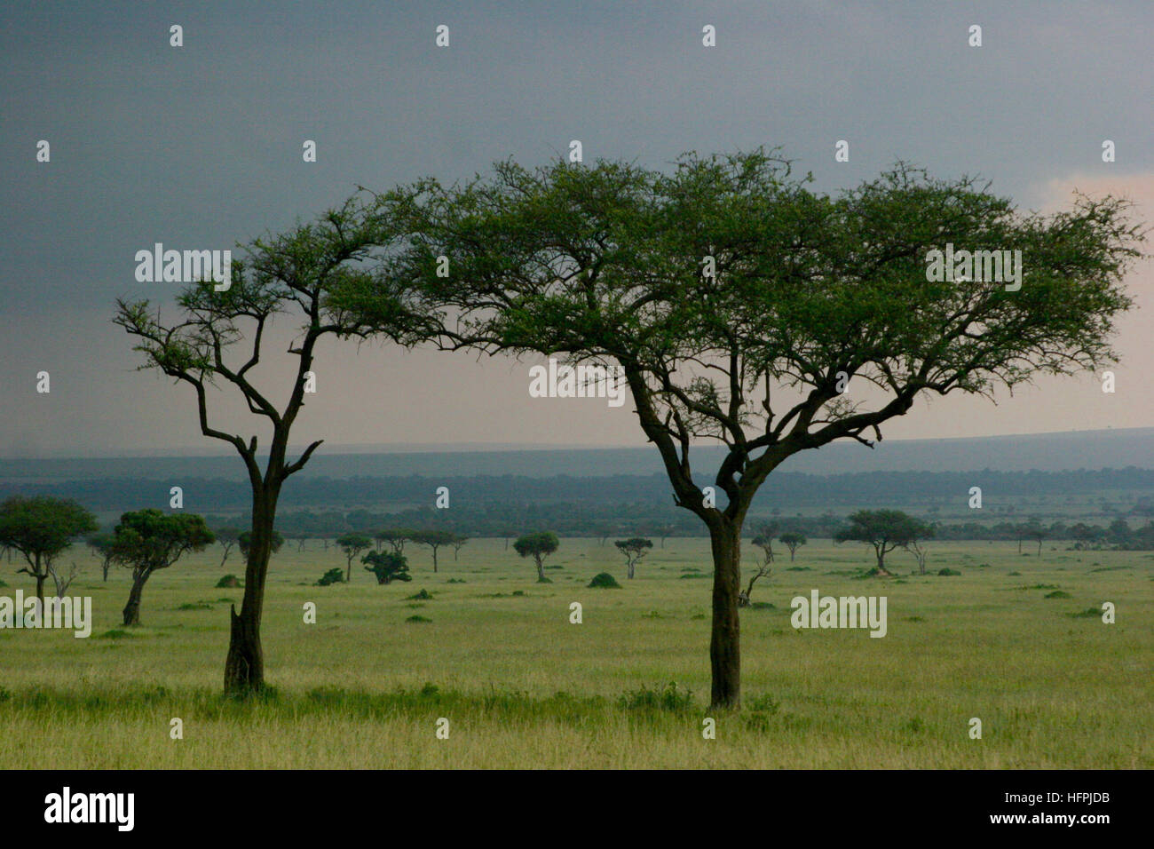 Masai Mara Safari Featuring: View Where: Masai Mara, Kenya When: 08 Nov ...