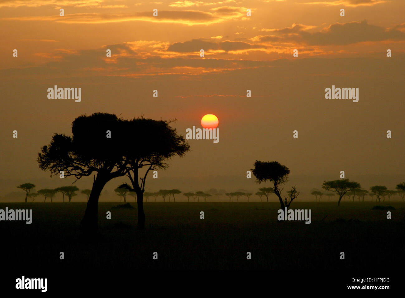 Masai Mara Safari Featuring: View Where: Masai Mara, Kenya When: 08 Nov ...