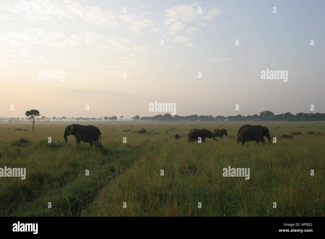 Masai Mara Safari Featuring: View Where: Masai Mara, Kenya When: 08 Nov ...