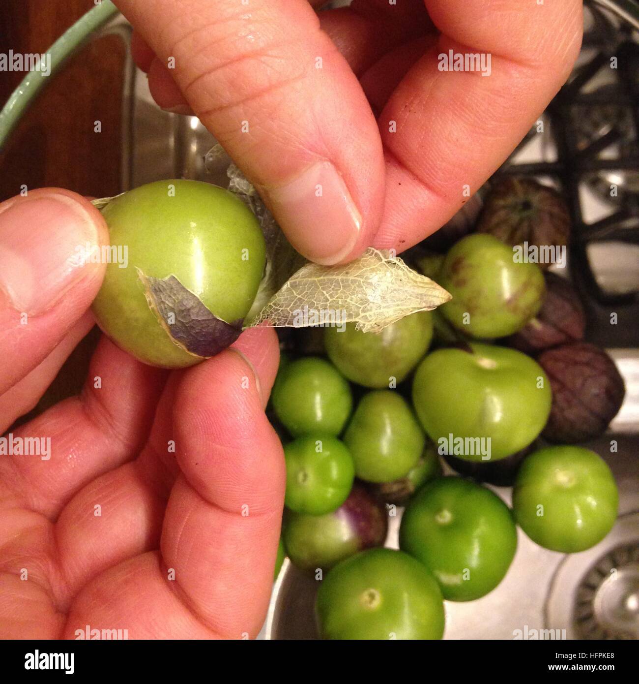 How to clean the Mexican Green tomate Physalis ixocarpa. miltomate ...