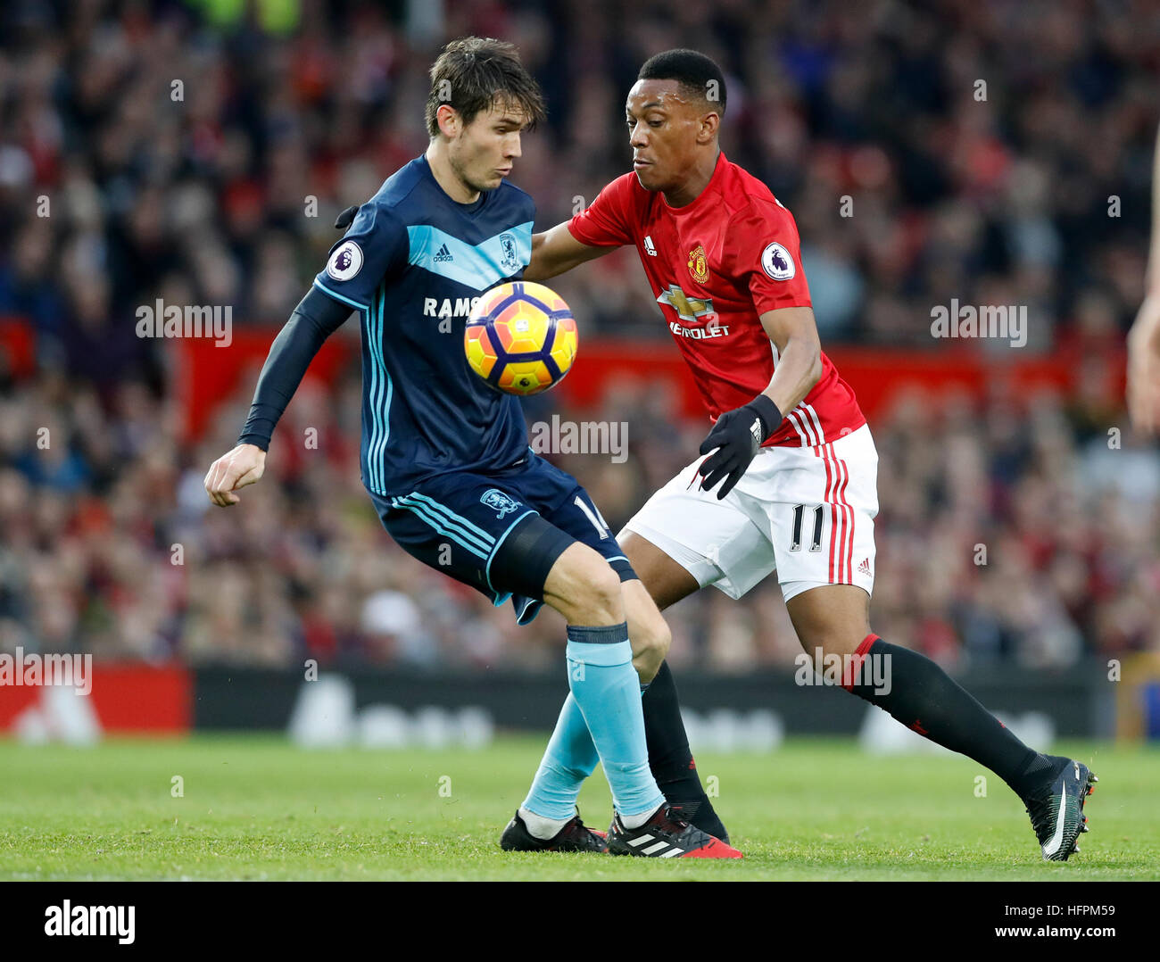 Marten de roon hi-res stock photography and images - Alamy