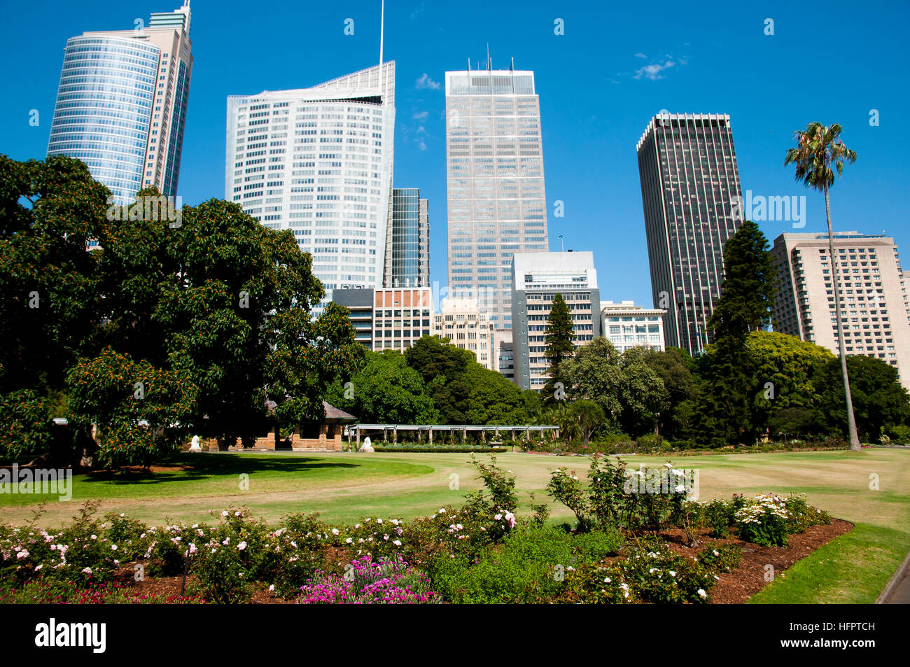 Botanical Garden - Sydney - Australia Stock Photo - Alamy