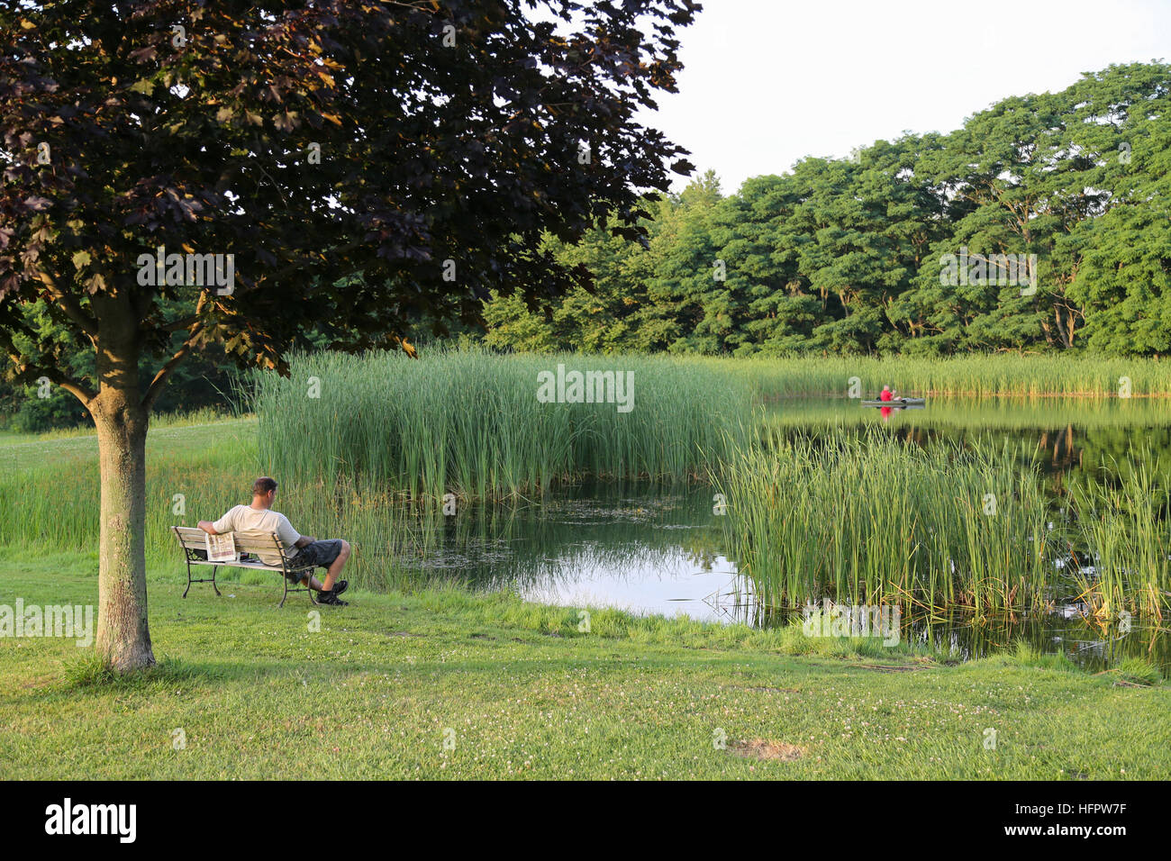 Peaceful pond hi-res stock photography and images - Alamy