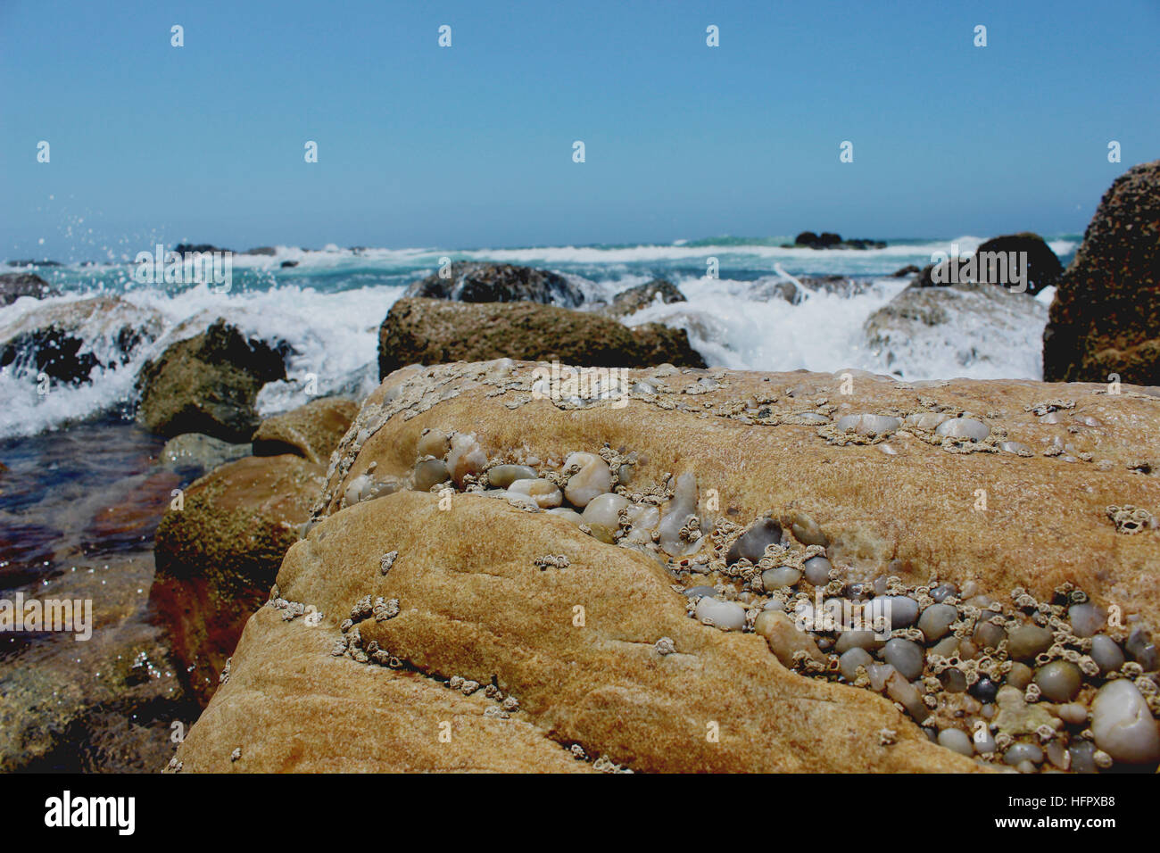 gemstones on beach rocks Stock Photo - Alamy