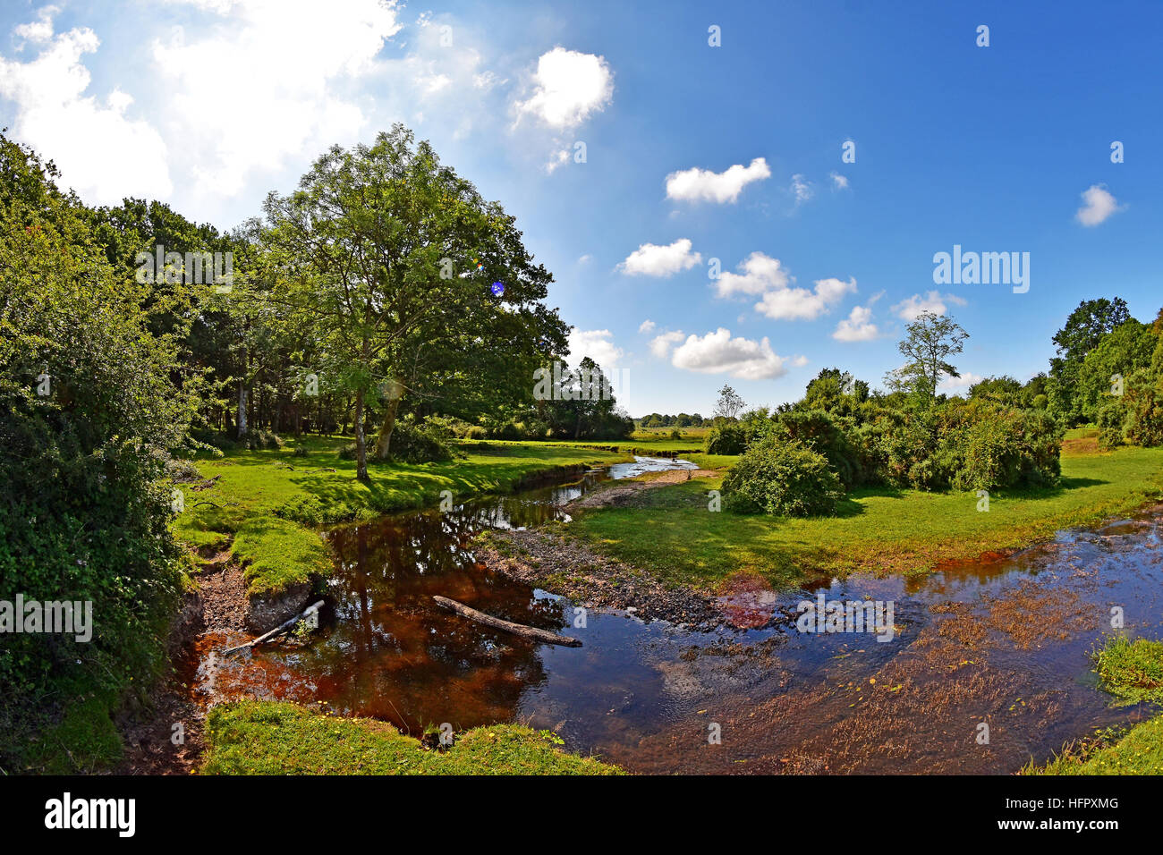 Winding New Forest Stream in the New Forest National Park, Hampshire ...
