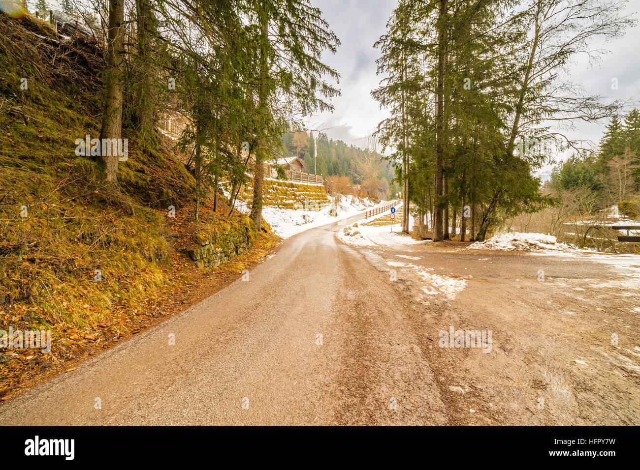 Dirt road crossing Alpine snowy forest in winter Stock Photo - Alamy