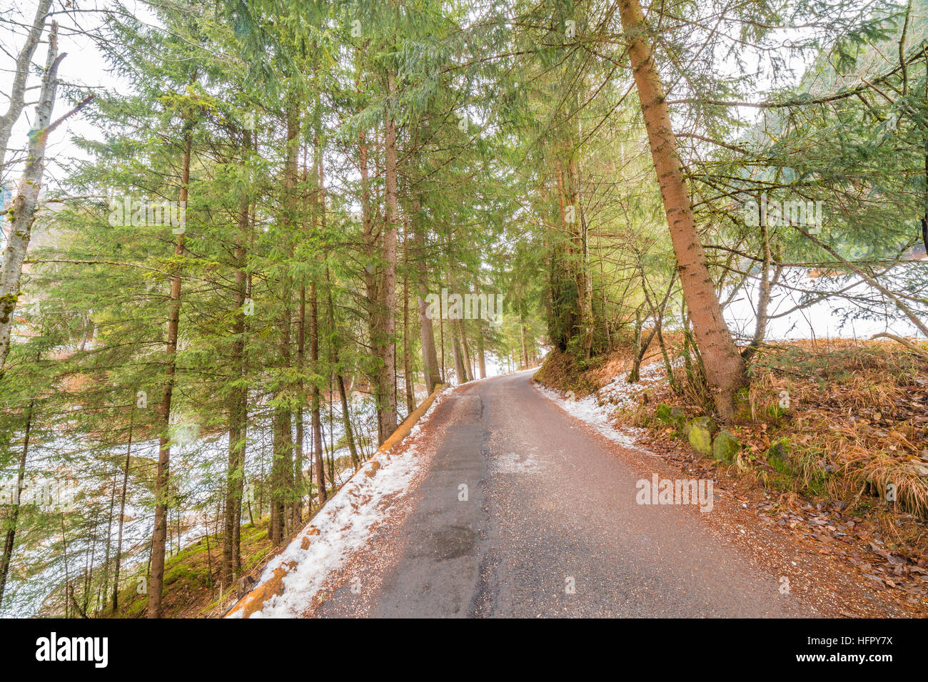 Alpine snowy forest in hi-res stock photography and images - Alamy