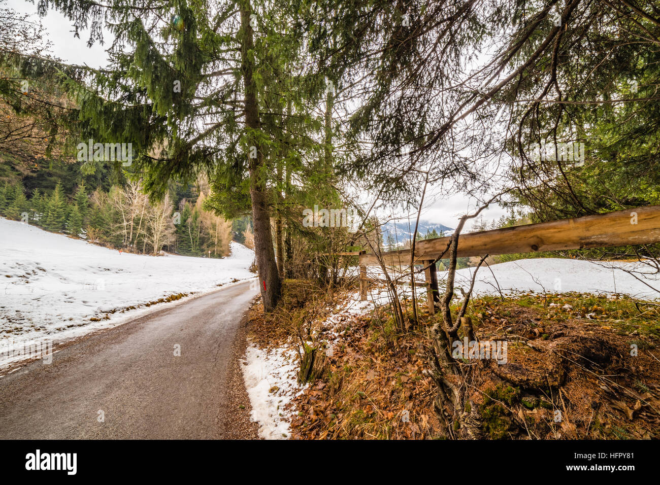 Dirt road crossing Alpine snowy forest in winter Stock Photo - Alamy