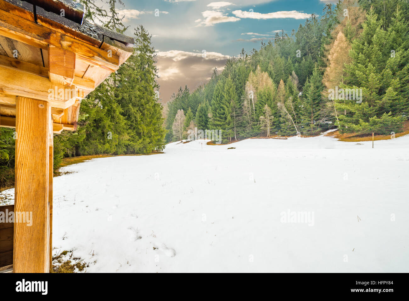 snowy field near Alpine forest in winter Stock Photo - Alamy