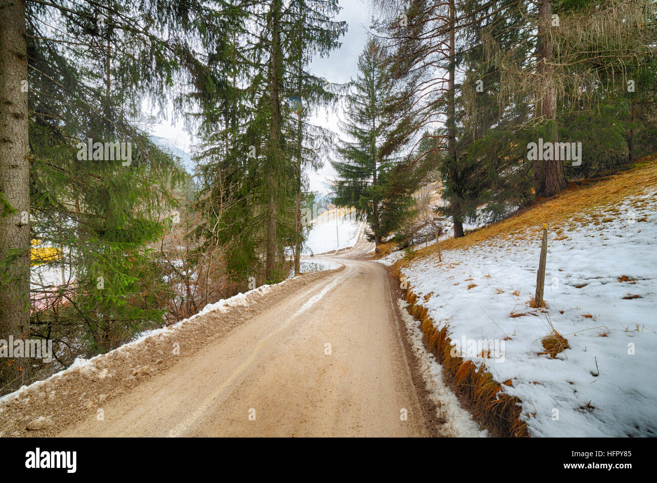 Dirt road crossing Alpine snowy forest in winter Stock Photo - Alamy