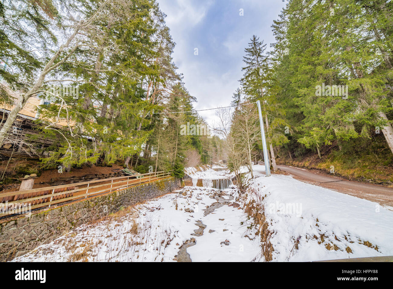 snowy field near Alpine forest in winter Stock Photo - Alamy