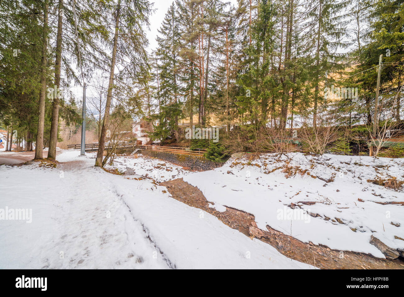snowy field near Alpine forest in winter Stock Photo - Alamy