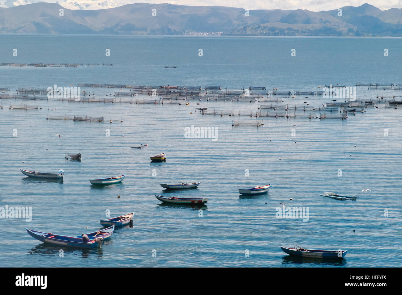 Boats and fish farms on Lake Titicaca Stock Photo - Alamy