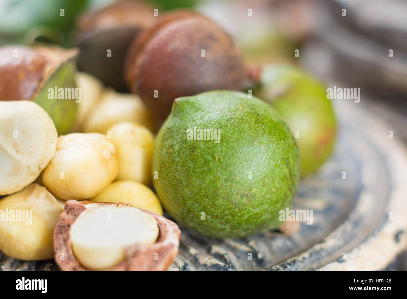 Macadamia nut africa hi-res stock photography and images - Alamy