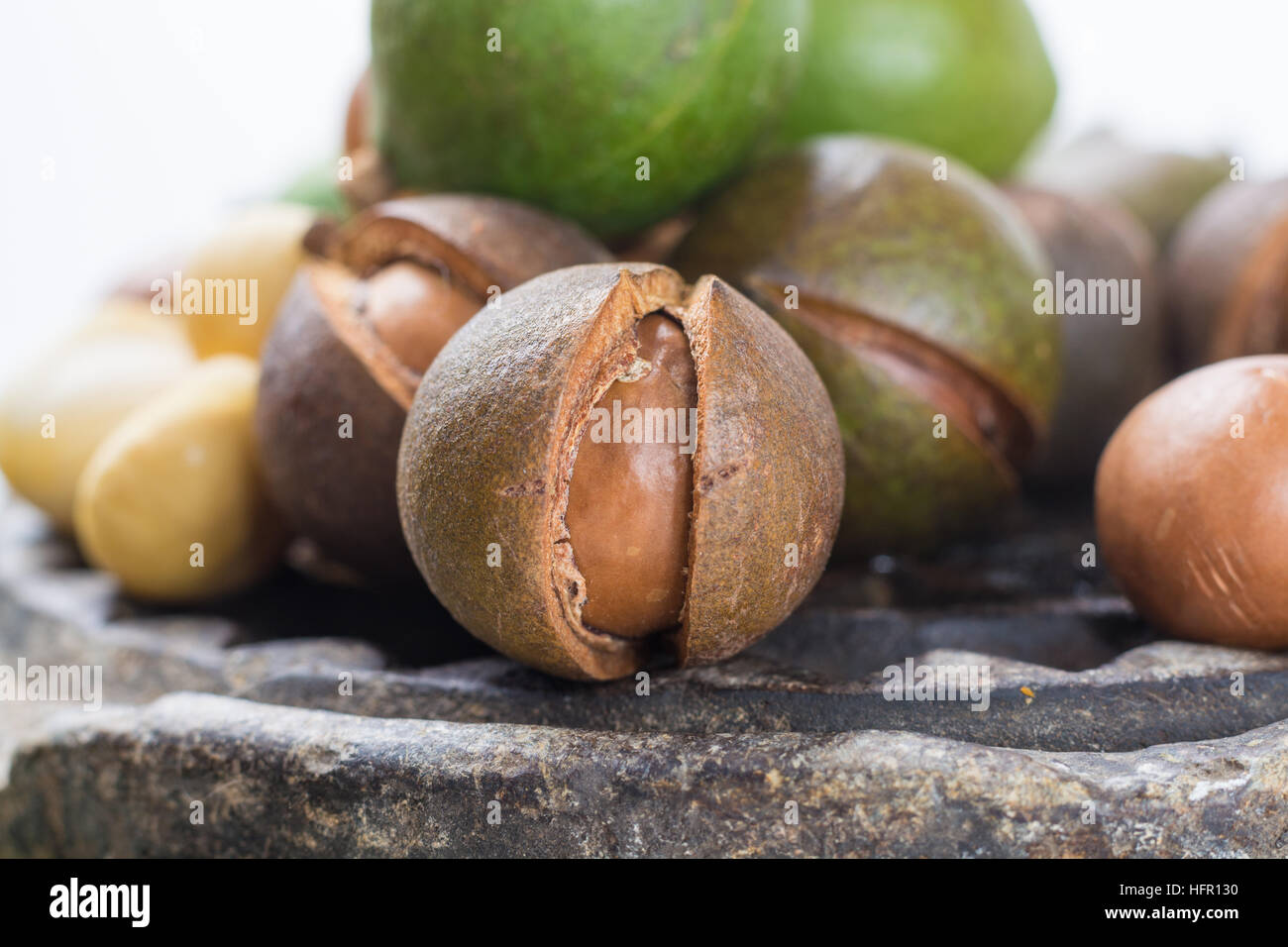 Macadamia nuts harvest close up Stock Photo - Alamy