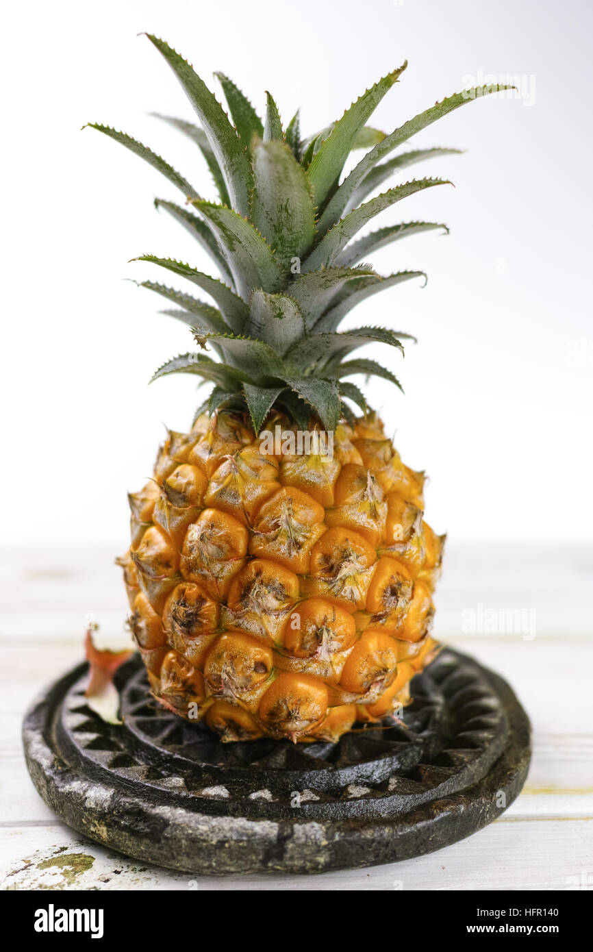 Baby pineapple hi-res stock photography and images - Alamy