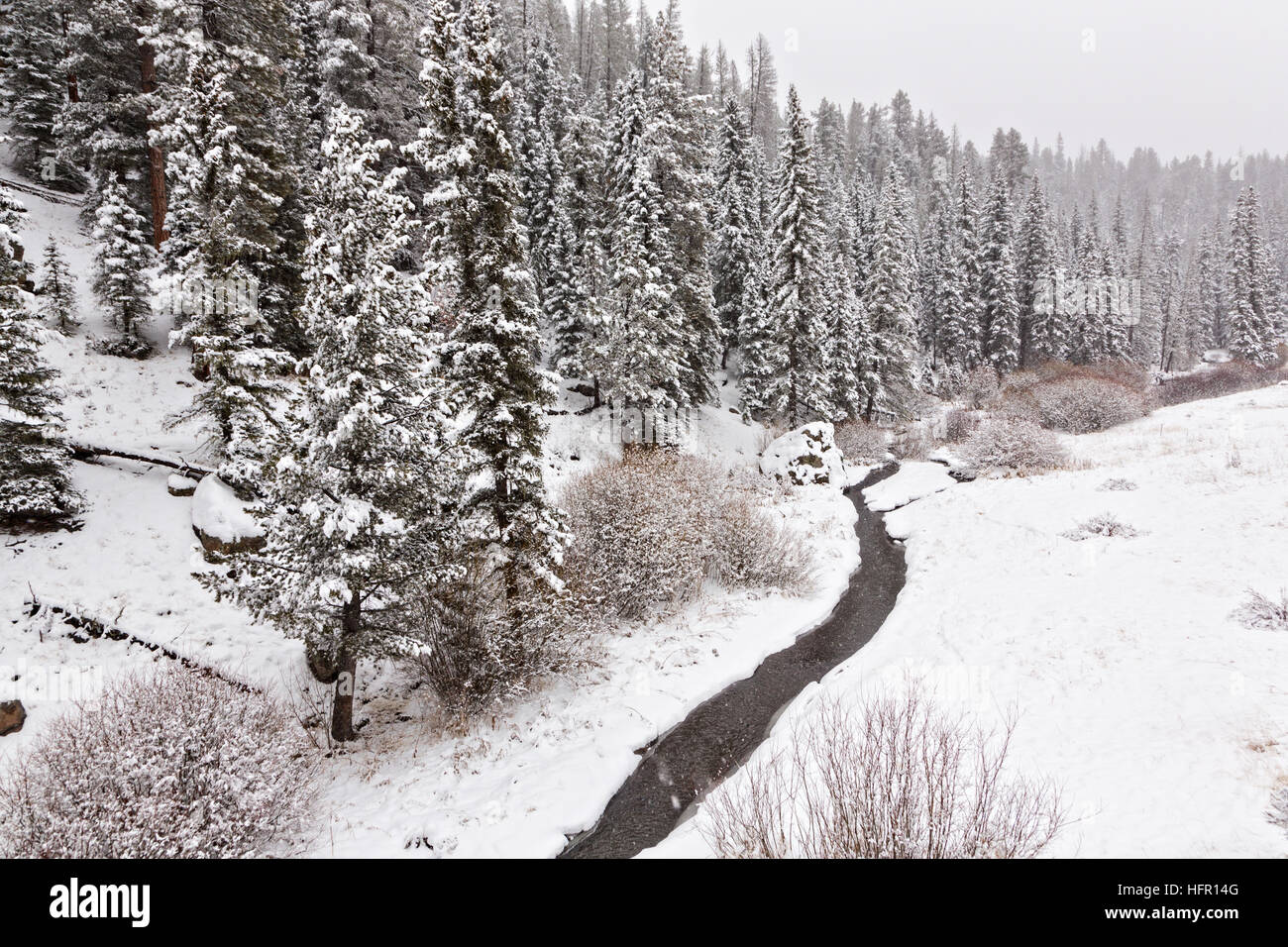 A fresh snowfall over untouched wilderness in the Valles Caldera ...