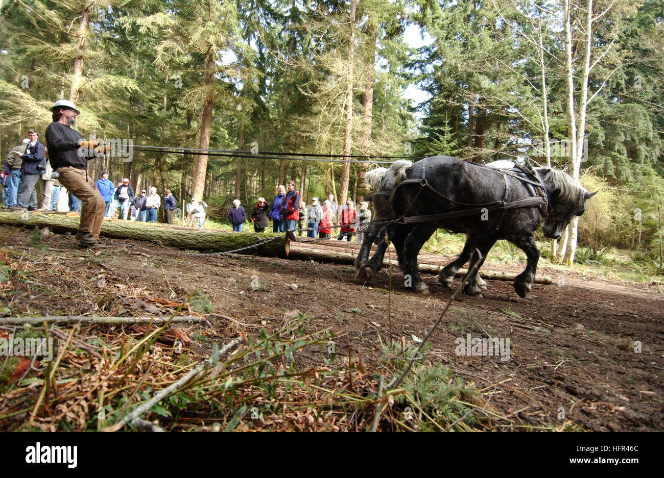 060329-N-1683M-005 Port Hadlock, Wash. (March 29, 2006) - Logger Jerry ...