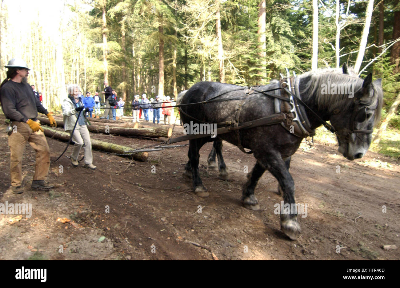 1970s logger hi-res stock photography and images - Alamy