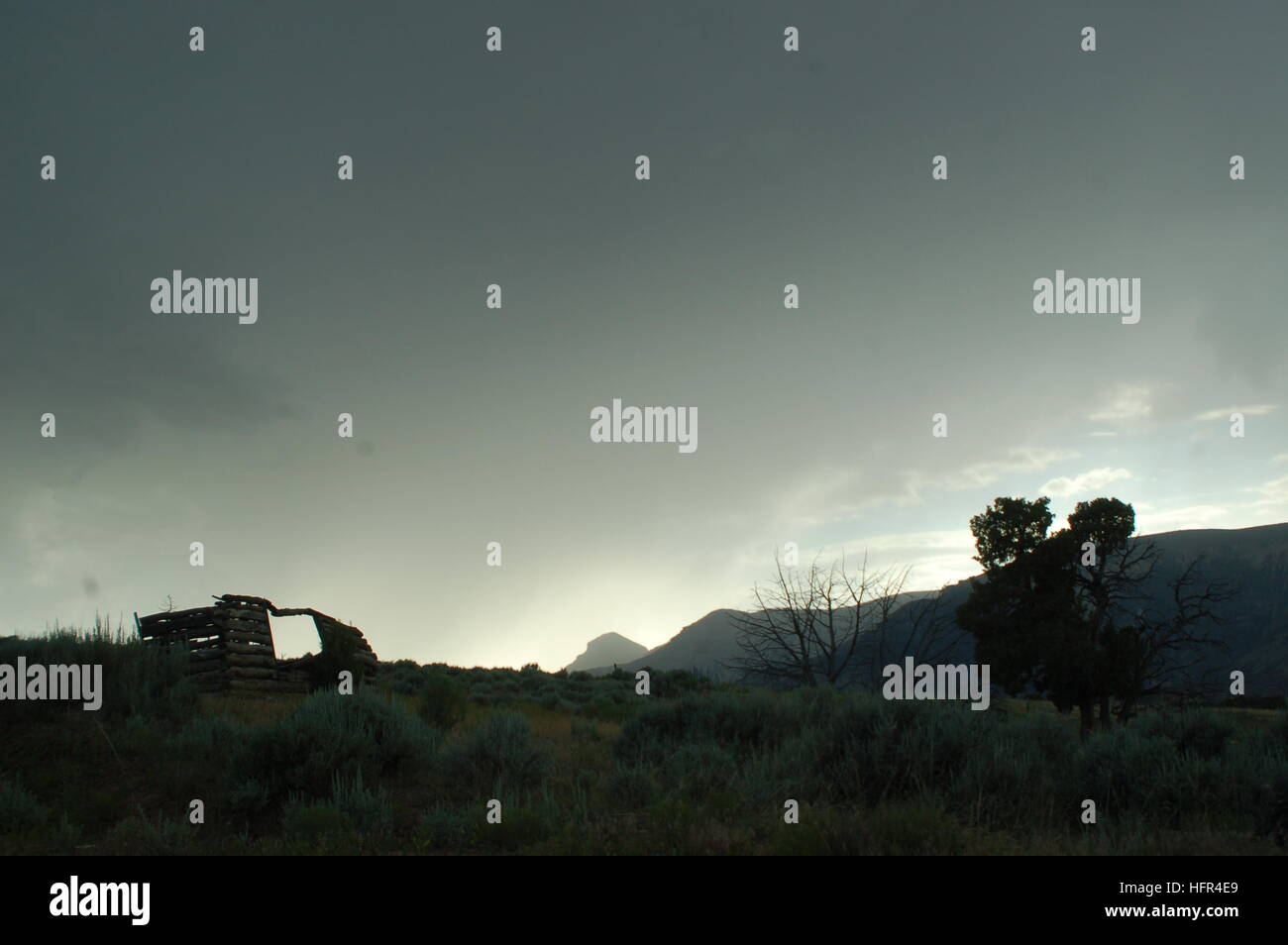 A decaying old log cabin near Battlement Mesa, CO on the western slope ...
