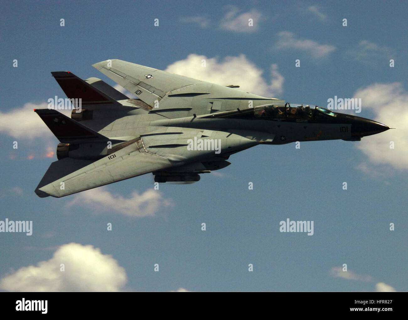 Tomcatter hi-res stock photography and images - Alamy