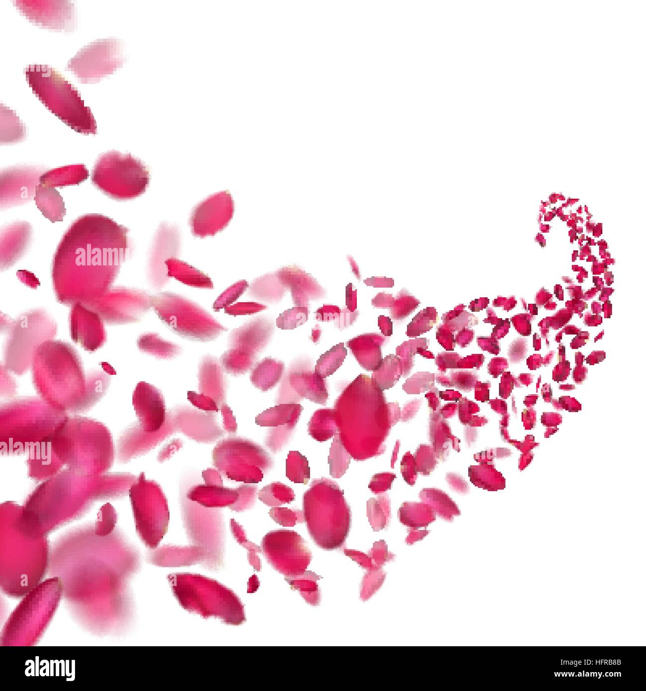 Pink rose falling petals on transparent background. EPS 10 vector file ...
