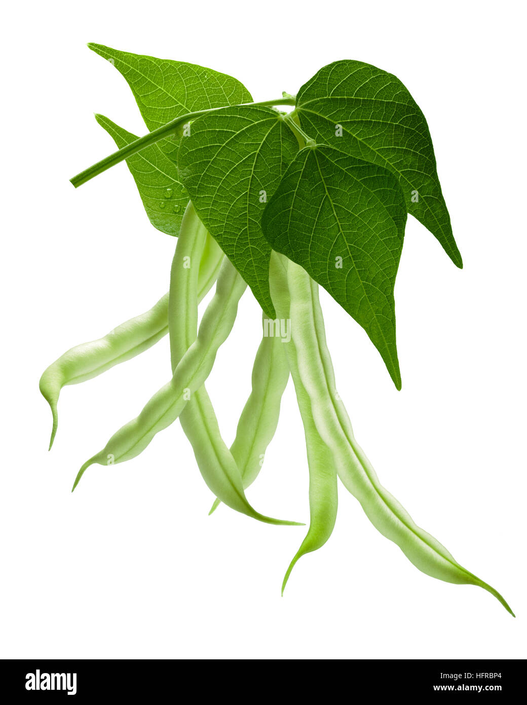 Haricot bean hi-res stock photography and images - Alamy