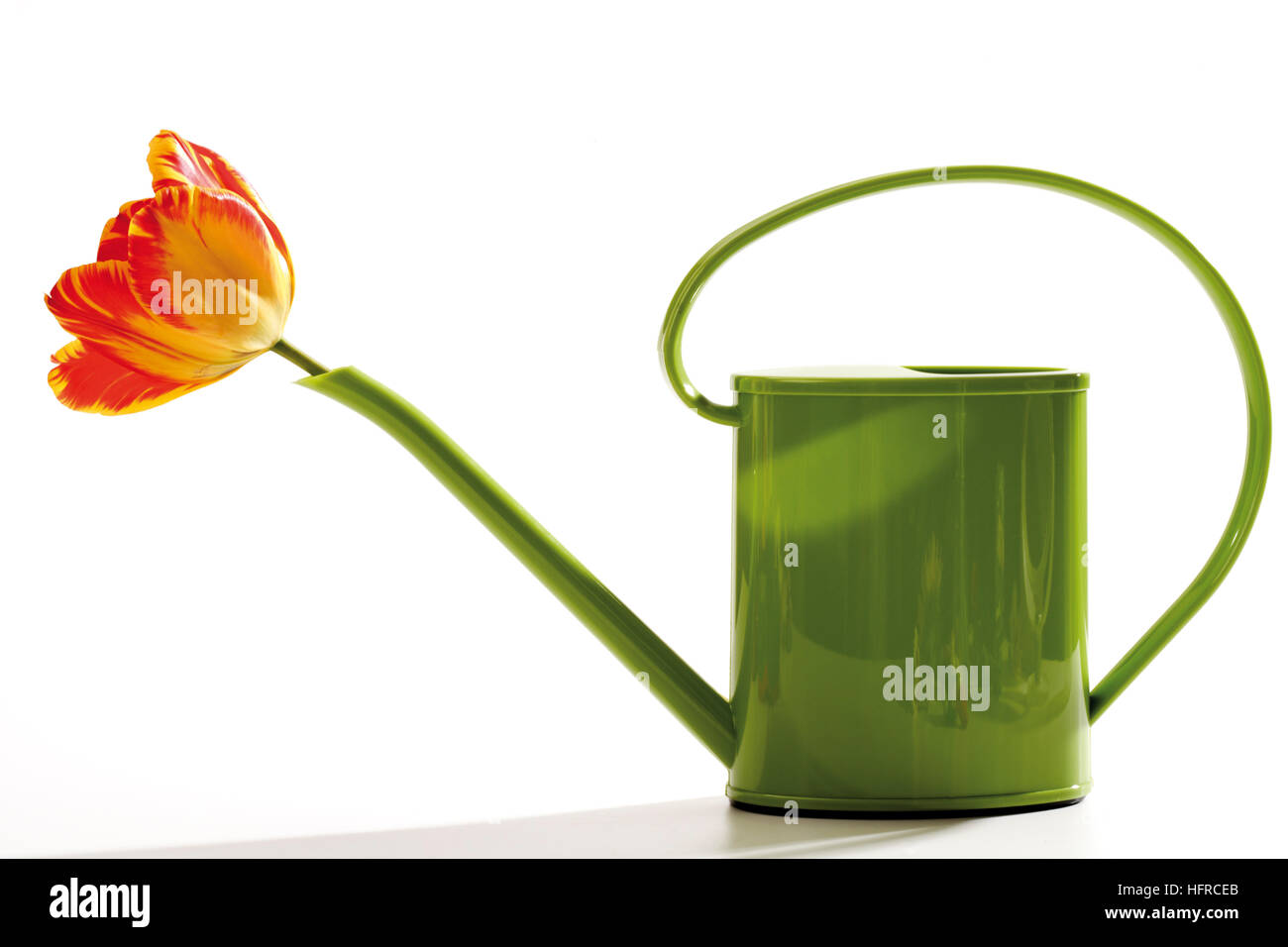 Types of watering cans hi-res stock photography and images - Alamy