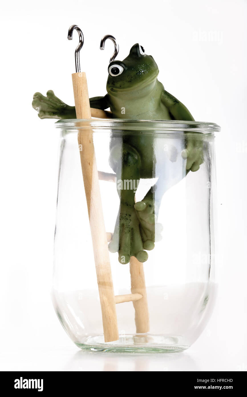 Frog ladders hi-res stock photography and images - Alamy