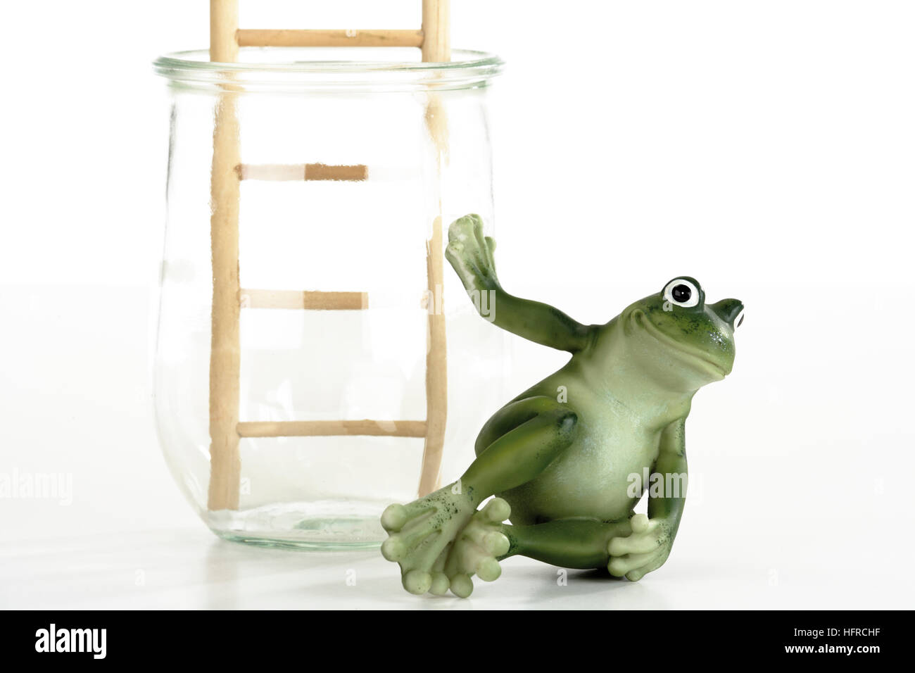 Frog sitting in front of a ladder Stock Photo - Alamy