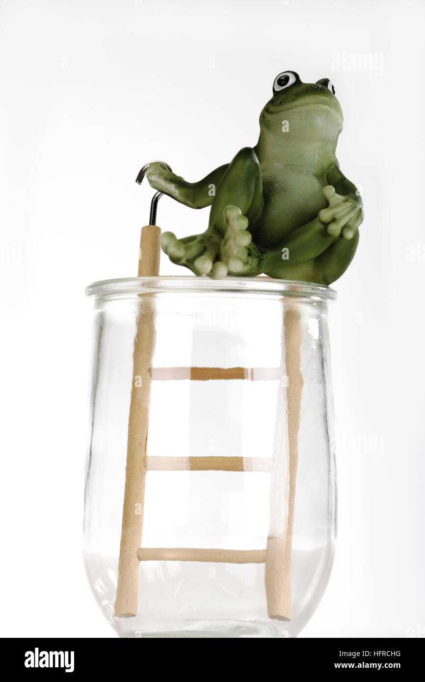 Frog sitting on top of a ladder Stock Photo - Alamy