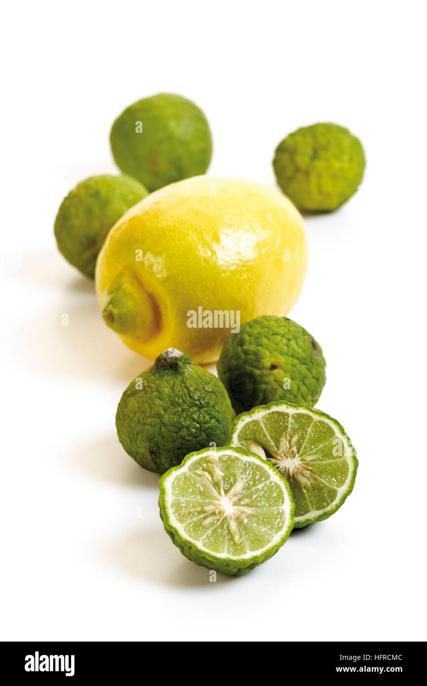 Miniature limes and a lemon (Citrus Stock Photo - Alamy
