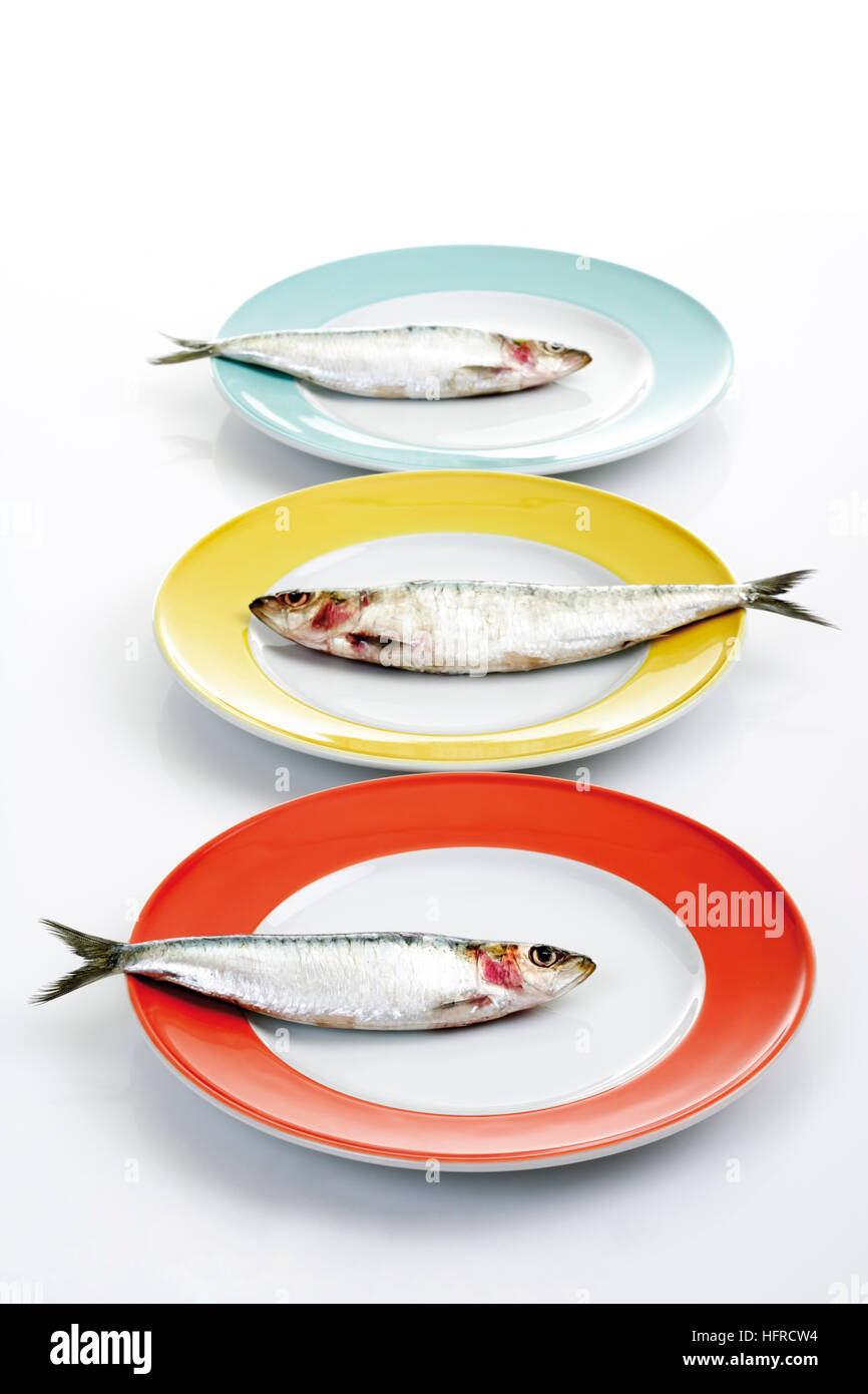 Three sardines plate hi-res stock photography and images - Alamy