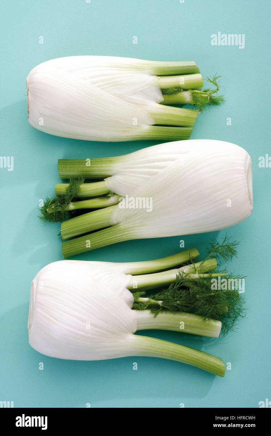 Fennel (Foeniculum vulgare Stock Photo - Alamy