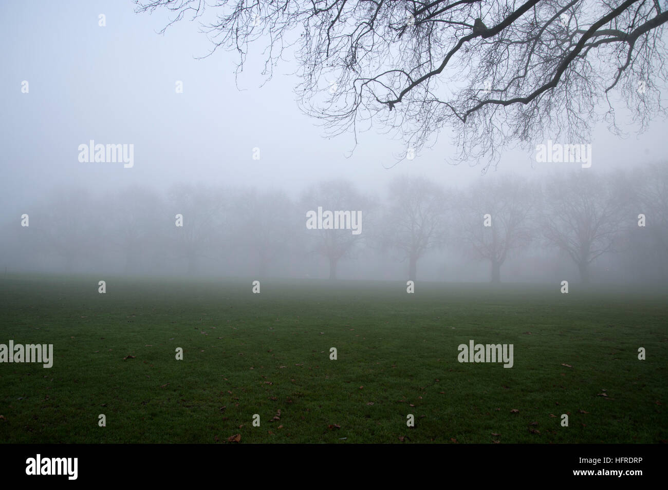Hackney. London Fields in the mist Stock Photo - Alamy