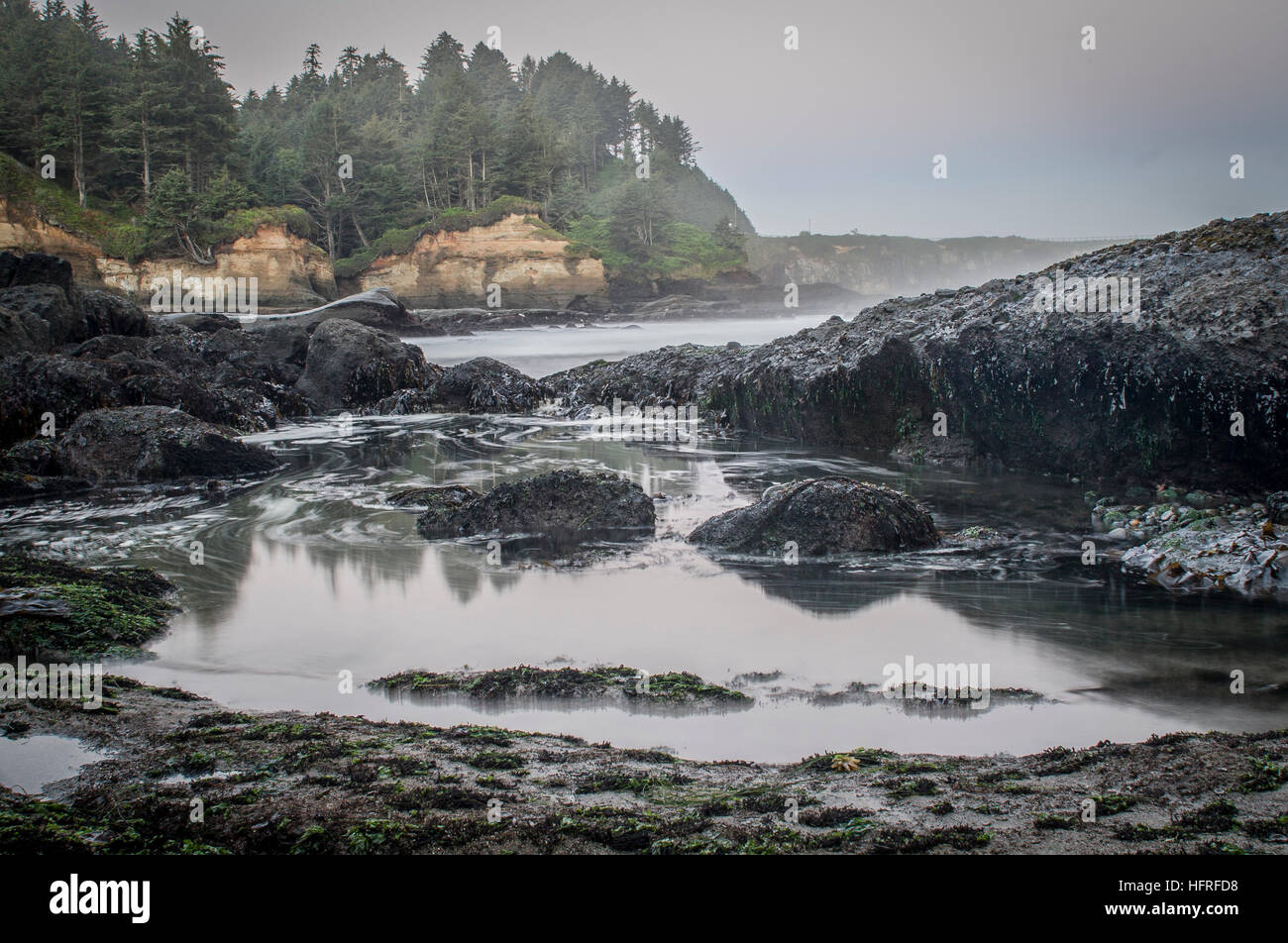 Low tide intertidal zone hi-res stock photography and images - Alamy