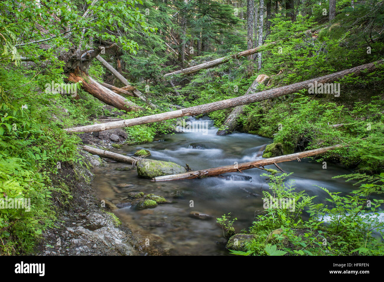 Freshwater creek hi-res stock photography and images - Alamy
