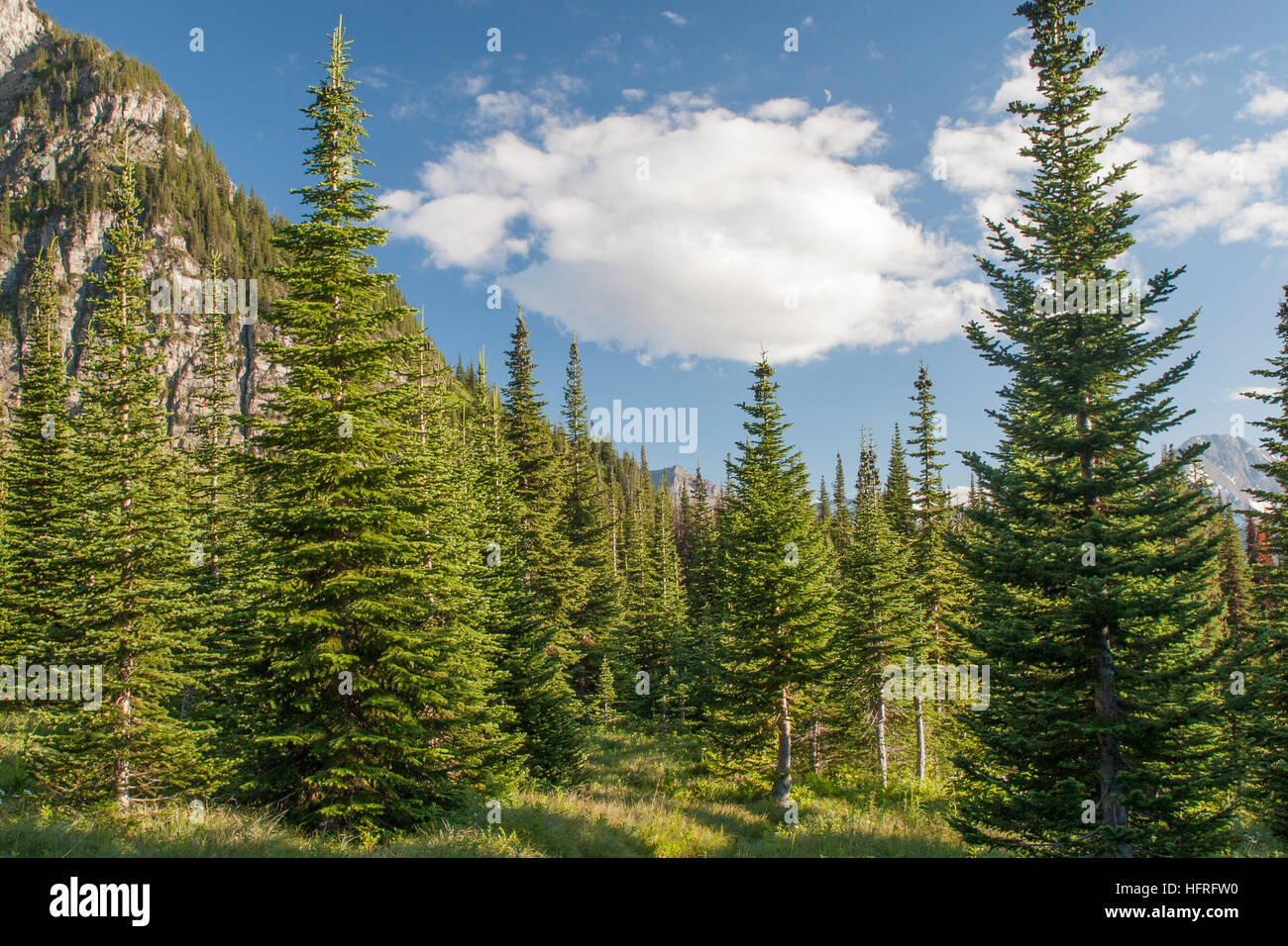 Mountainous terrain in the summer in Glacier National Park, Montana ...